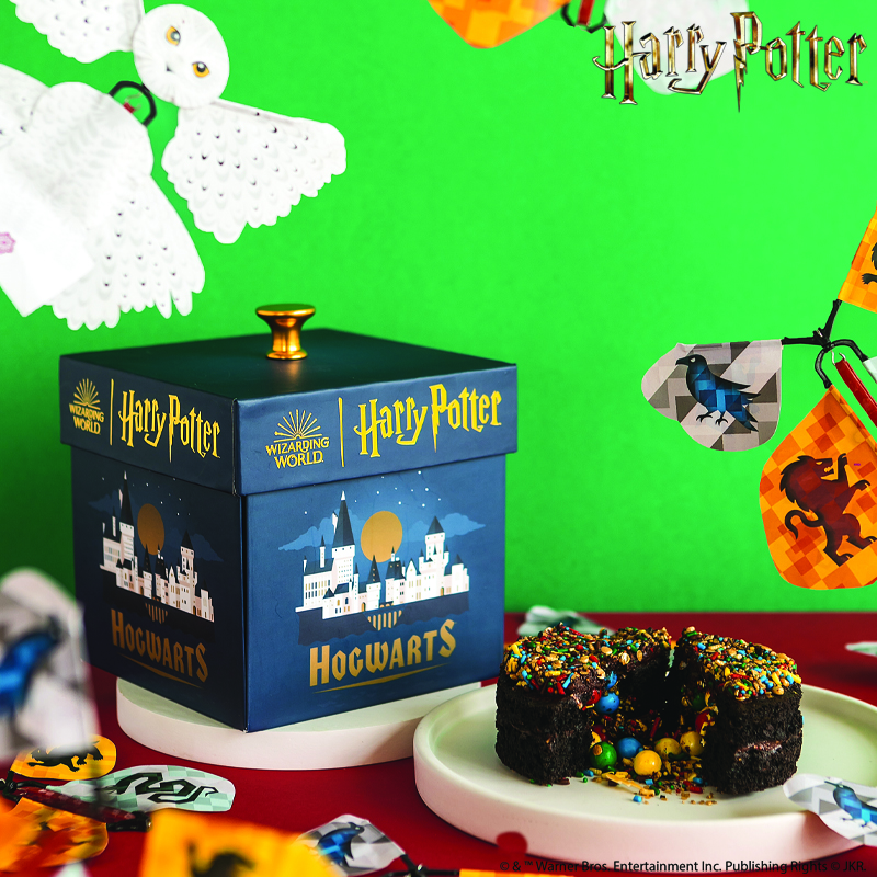 Harry Potter Hogwarts Cake Explosion Box | Surprise Gift Ideas | Send A ...