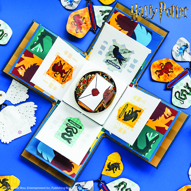 Harry Potter Hogwarts Cake Explosion Box | Surprise Gift Ideas | Send A ...
